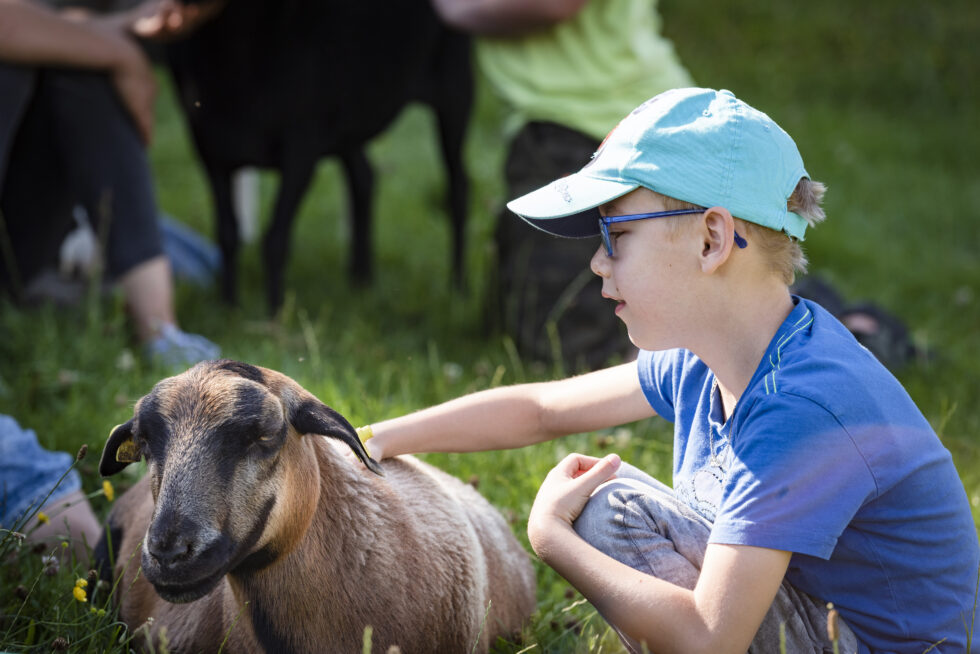 Werde Fachkraft für tiergestützte Intervention - Andrea Göhring